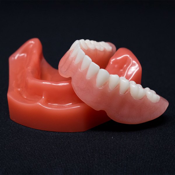 Fully Edentulous Mandible Base with Denture - BoneModels™