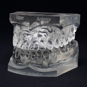 BoneModels™ - A Division of Models Plus - Home