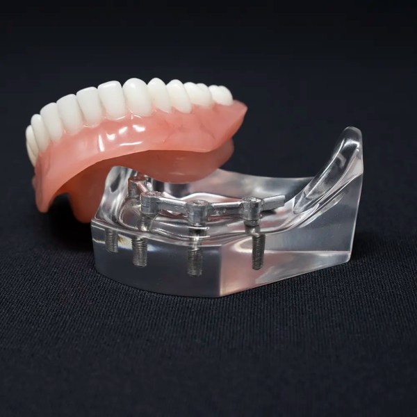 Hader Bar - BoneModels™